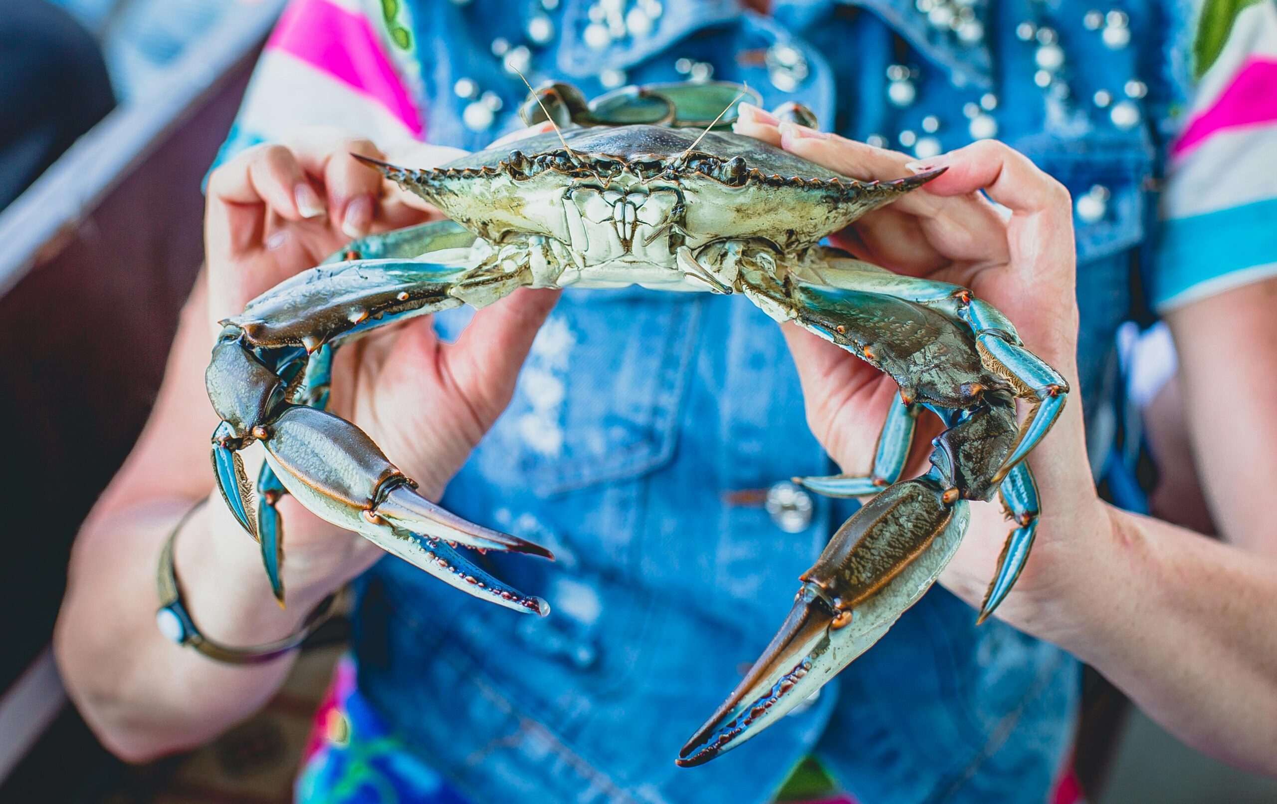 Saltwater Crabs & Crayfish Farming for Self-Sufficiency | Grainshed