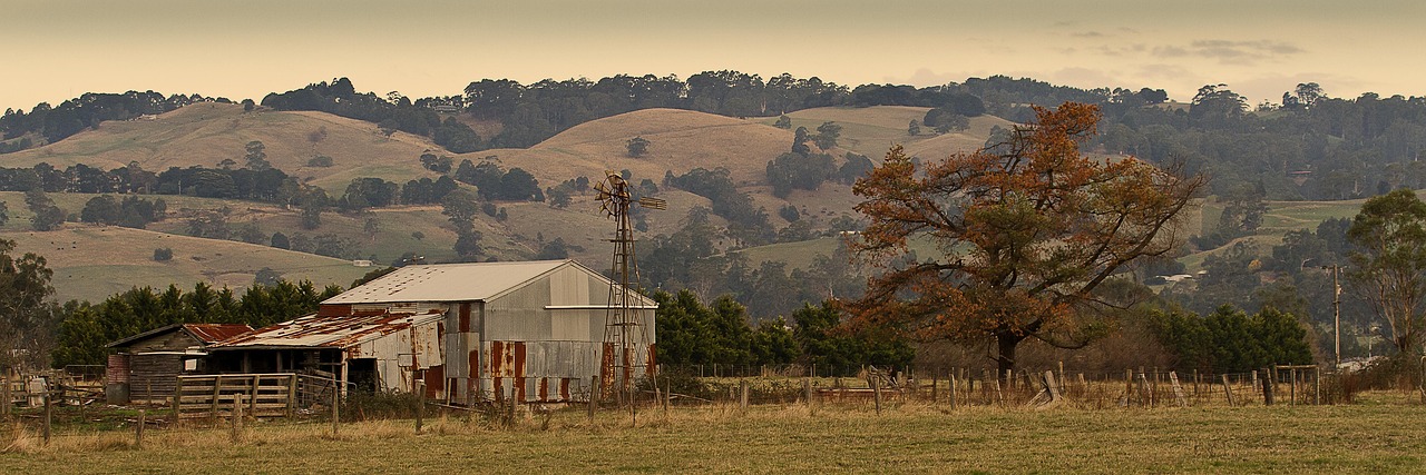 Victoria (VIC) Farm & Agricultural Land Value Trends 2026