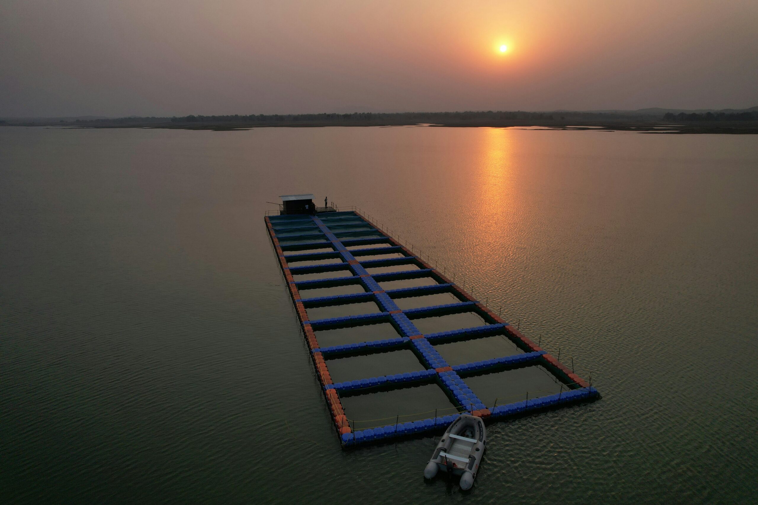 Saltwater Fish Farming for Self-Sufficiency | Grainshed