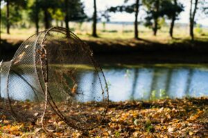 Freshwater Fish Farming for Self-Sufficiency | Grainshed