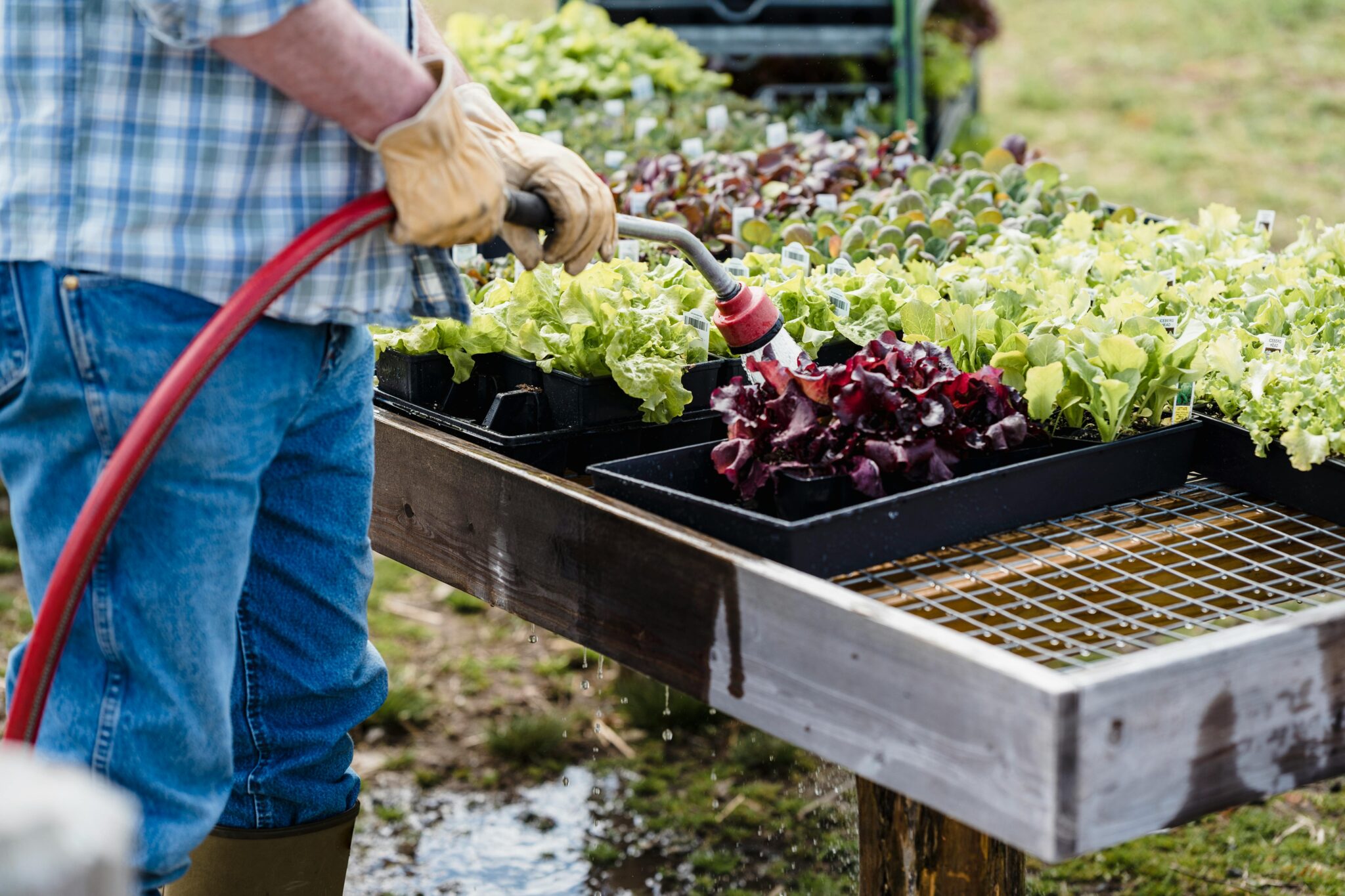 Irrigation Systems for Farms & Self-Sufficient Land | Grainshed