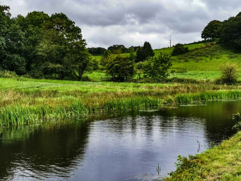 Freshwater Fish Farming for Self-Sufficiency | Grainshed