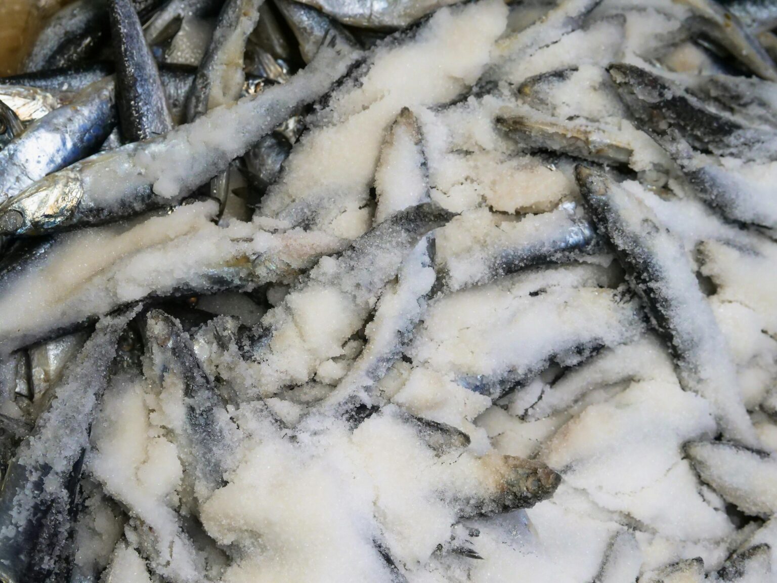 Fish & Seafood Preservation & Storage | Grainshed