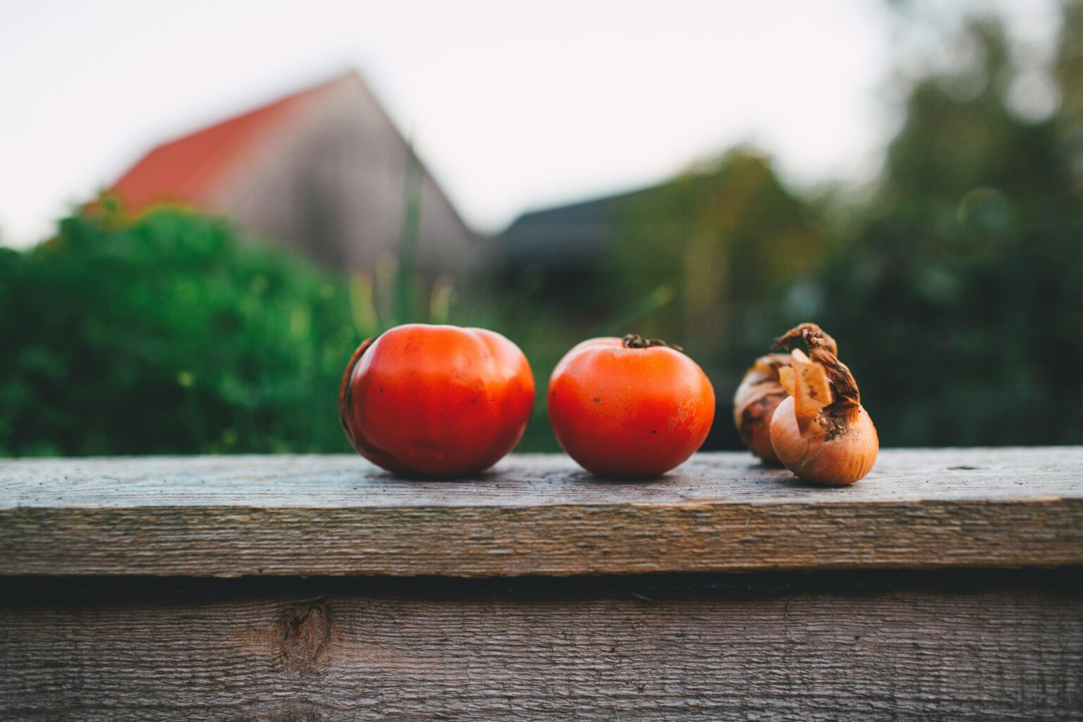How to Start Being Self Sufficient in Australia (2025 Guide)