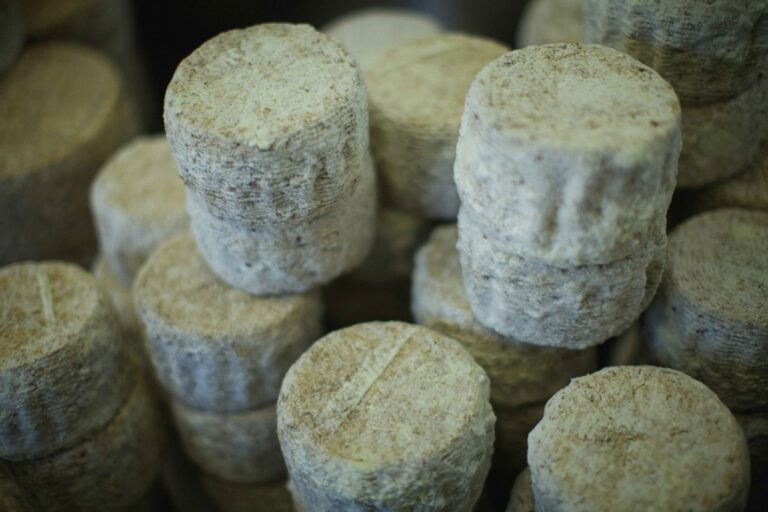 Sheep Farming & Breeding for Self-Sufficiency | Grainshed