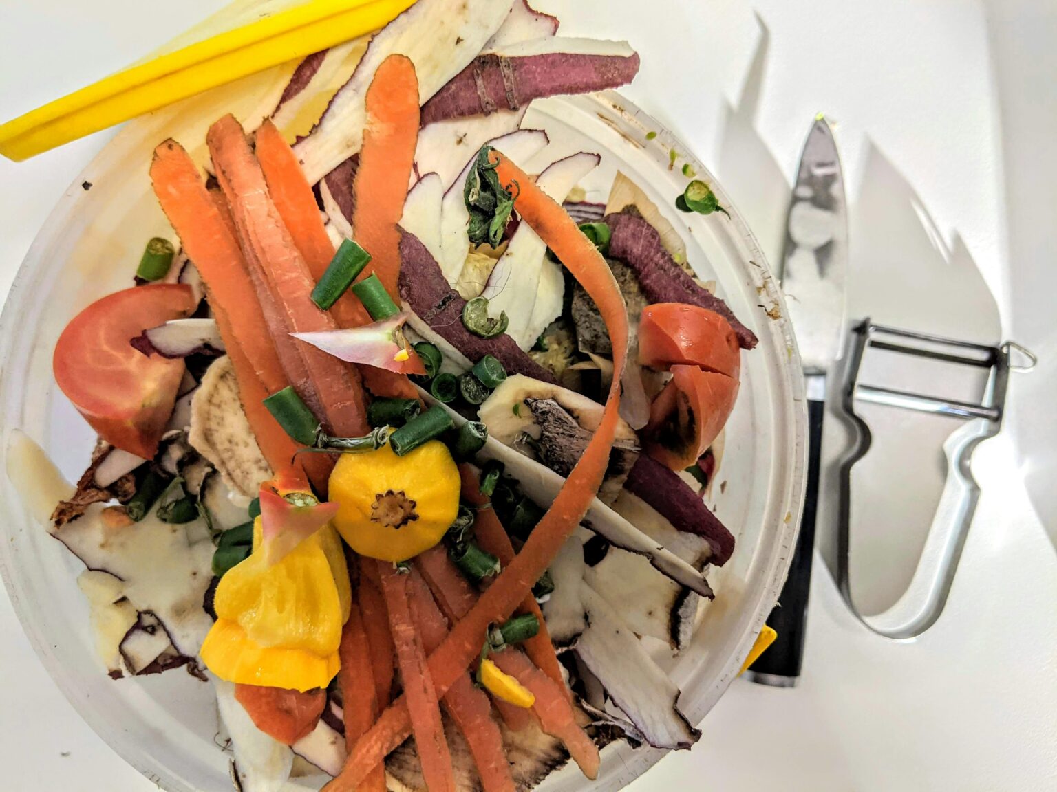 In-Ground Compost Bins: Guide & Product Comparisons