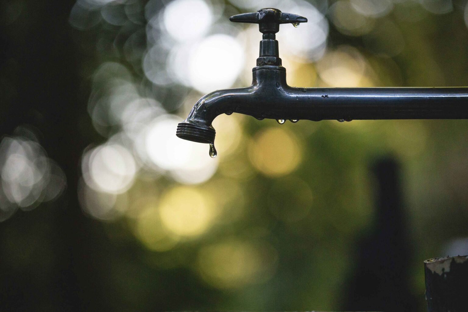 How to Build a DIY Grey Water System at Home | Grainshed