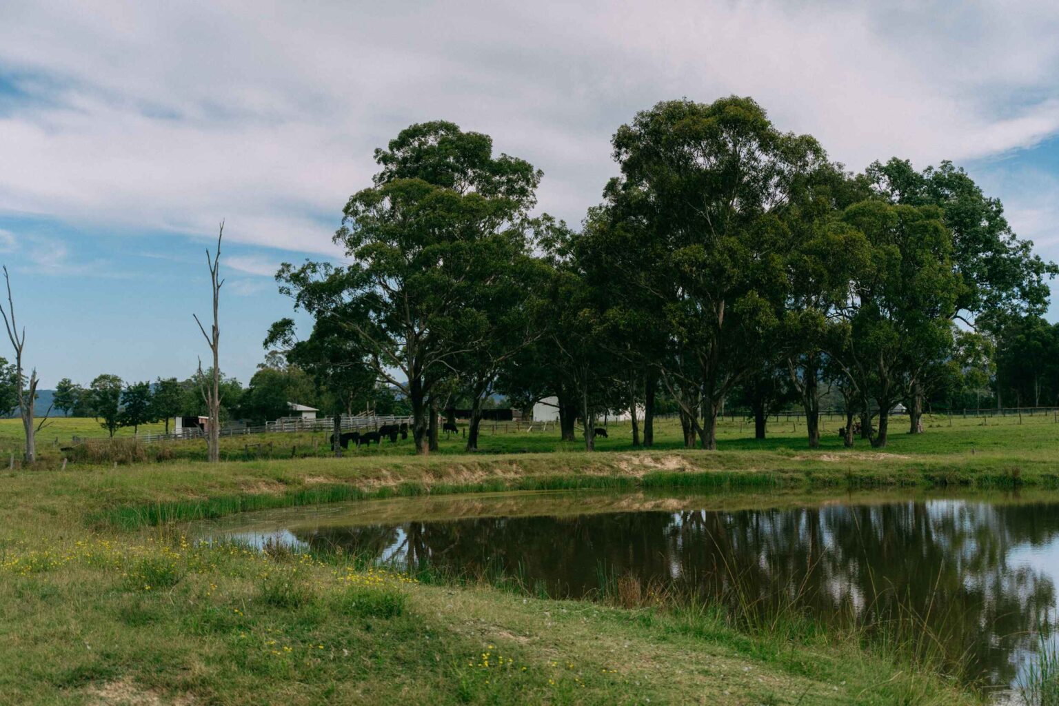 How to Build a Pond or Dam for Self-Sufficient Living | Grainshed