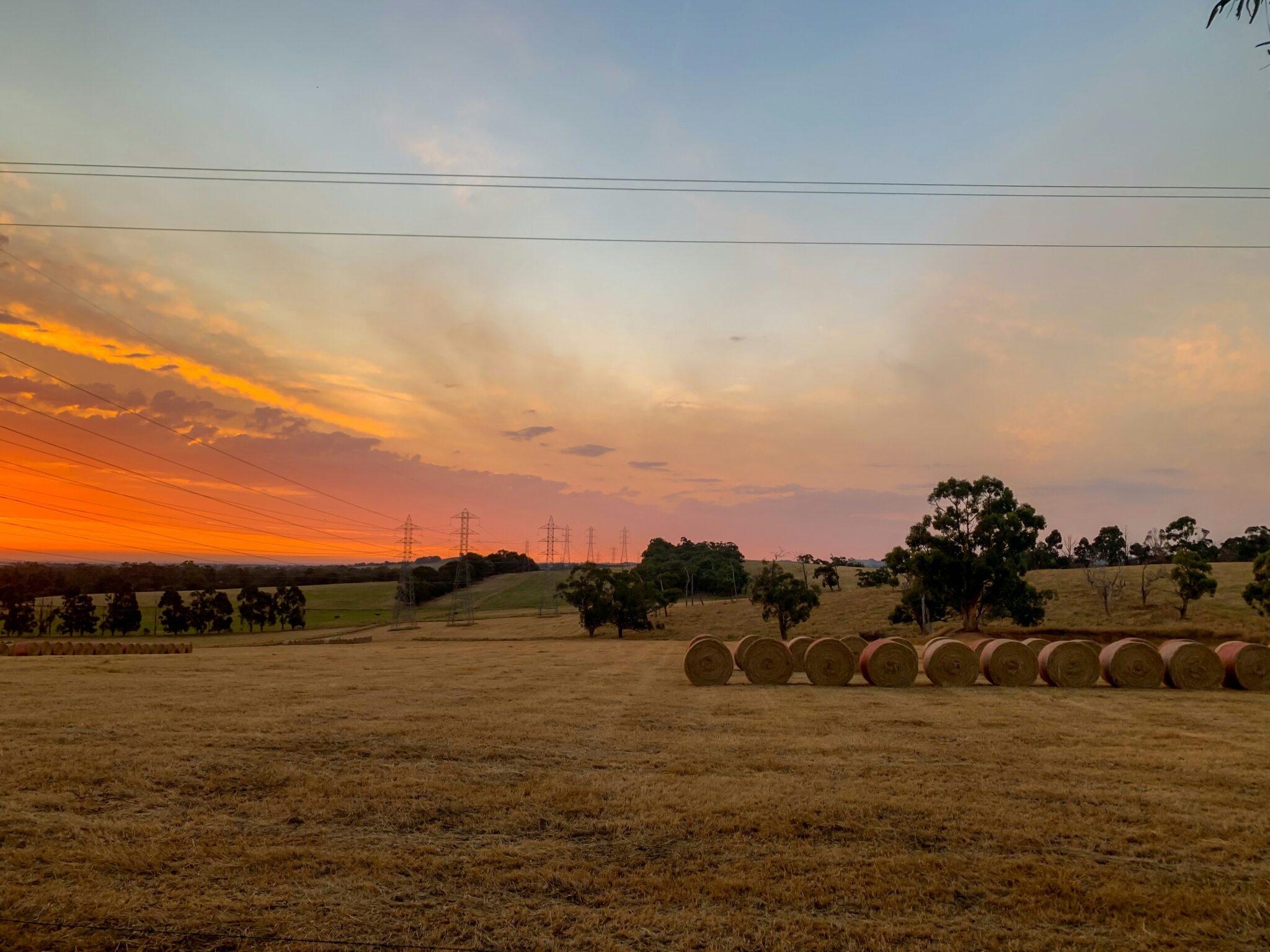 How to Establish Pasture Grass on a Small Farm | Grainshed