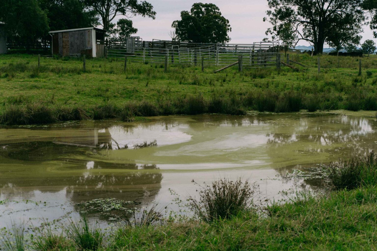 Guide to Bore Water Testing for Rural Properties Australia 2025