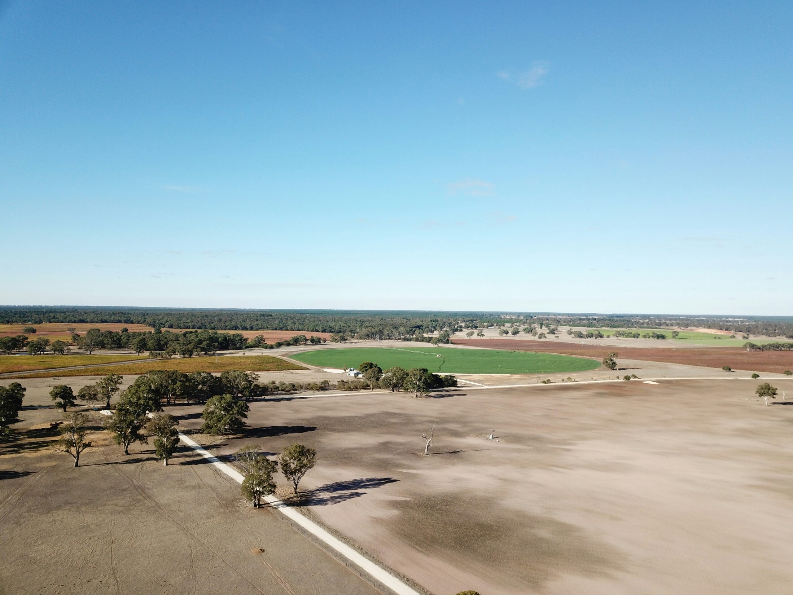 Small Acreage vs Large Farm: Choosing the Right Property Size