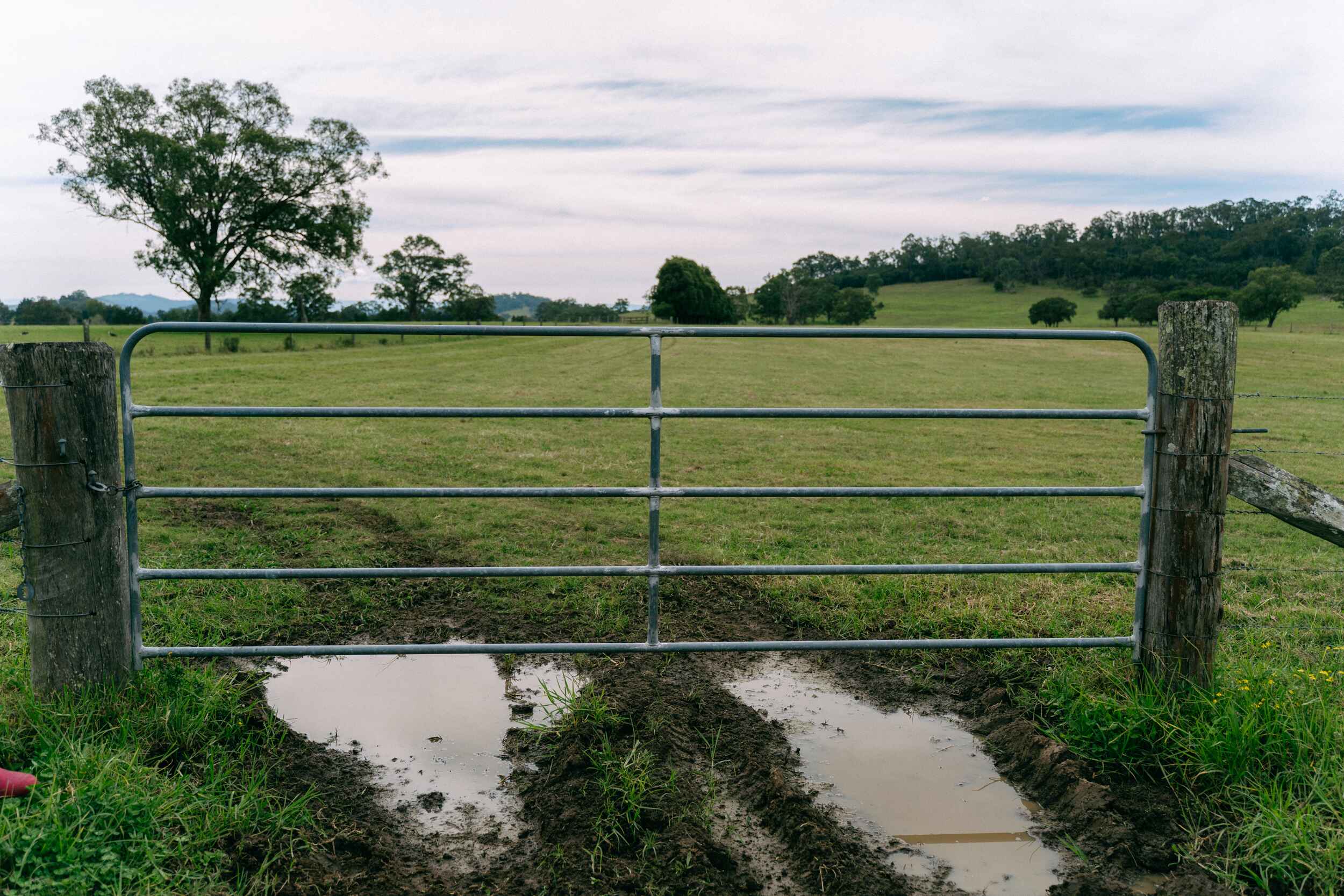 Setting Up Rural Property Boundaries & Fencing: Complete Guide