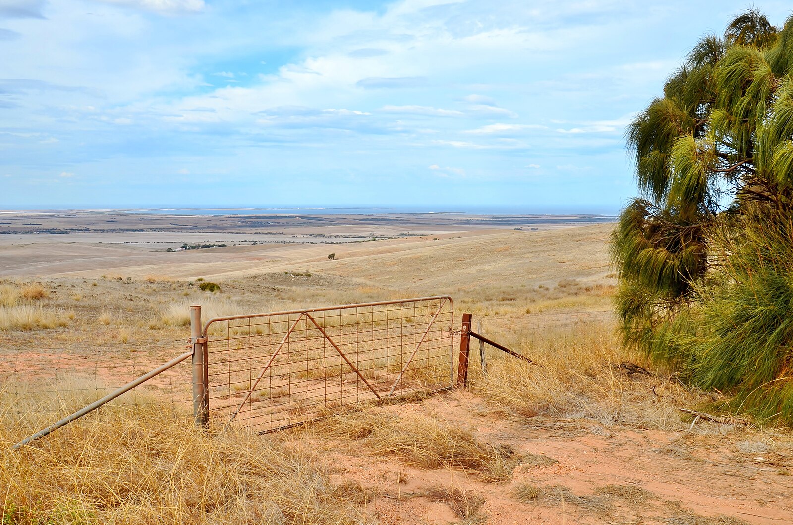Eyre Peninsula Farmland & Property Guide | SA Land