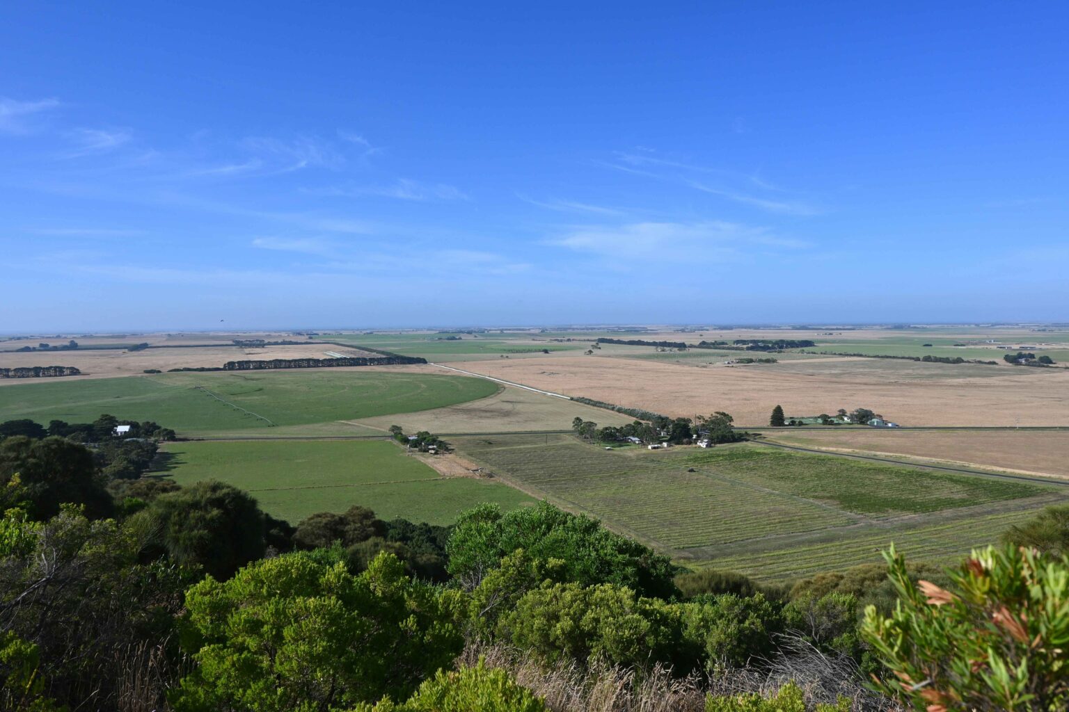 Limestone Coast Farmland & Acreage | SA Property Guide
