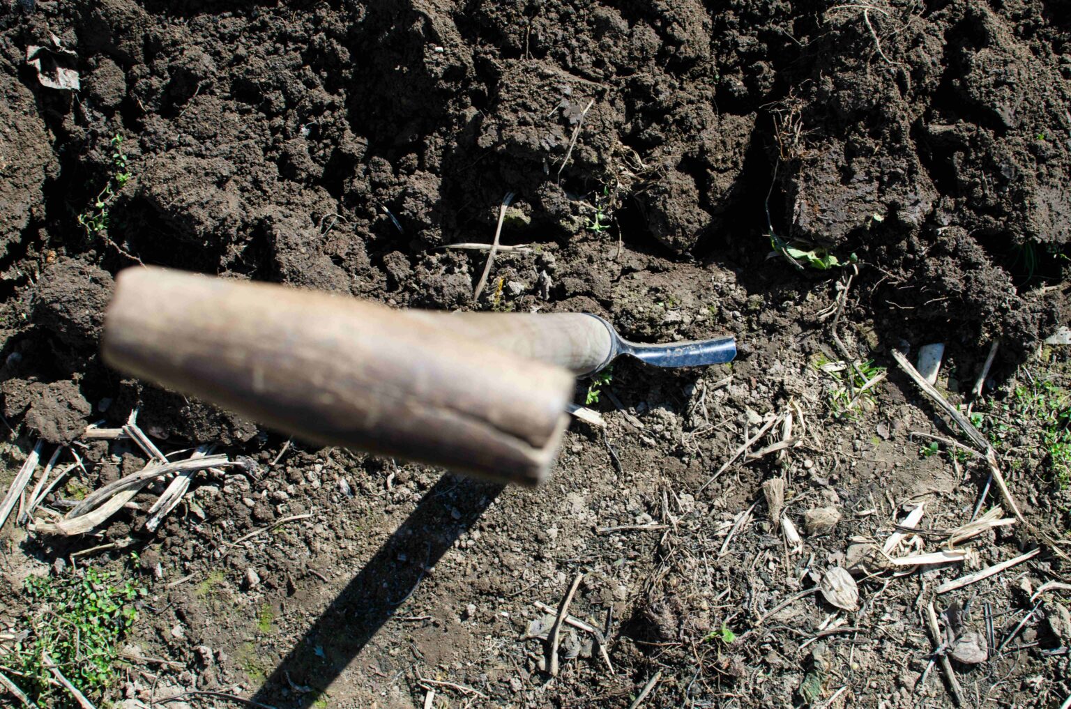 Preparing Soil for Spring Planting | Aussie Guide 2025 | Grainshed