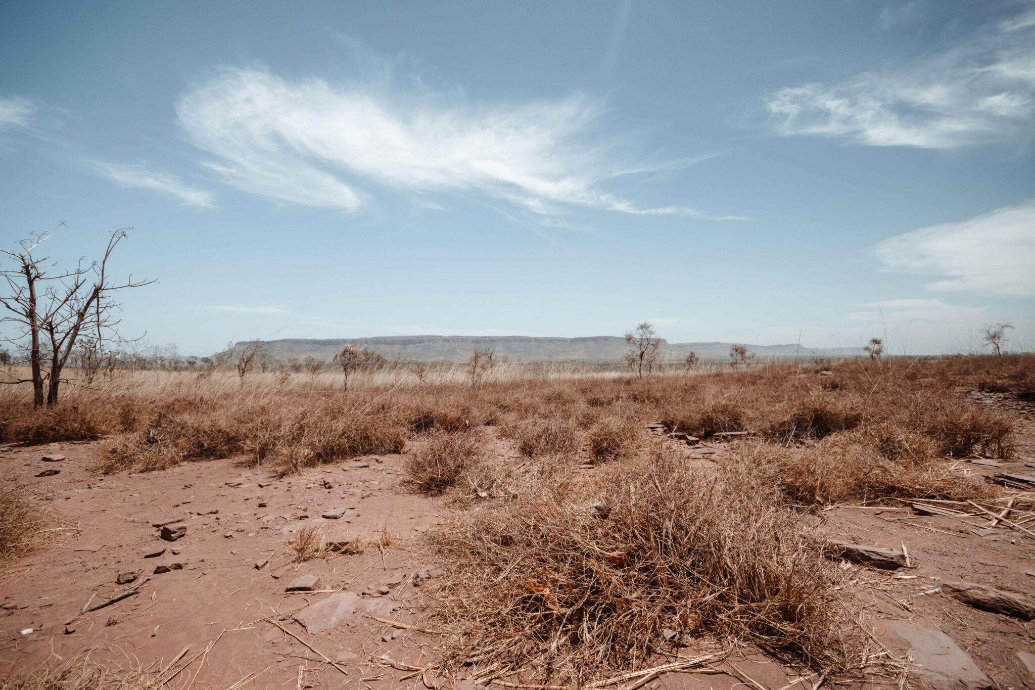 Water-Saving Tips for Drought-Prone Australian Homes & Farms