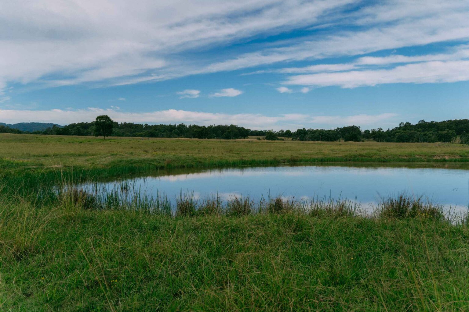 Fish Stocking Australia: How to Stock, Manage Farm Dams, Ponds