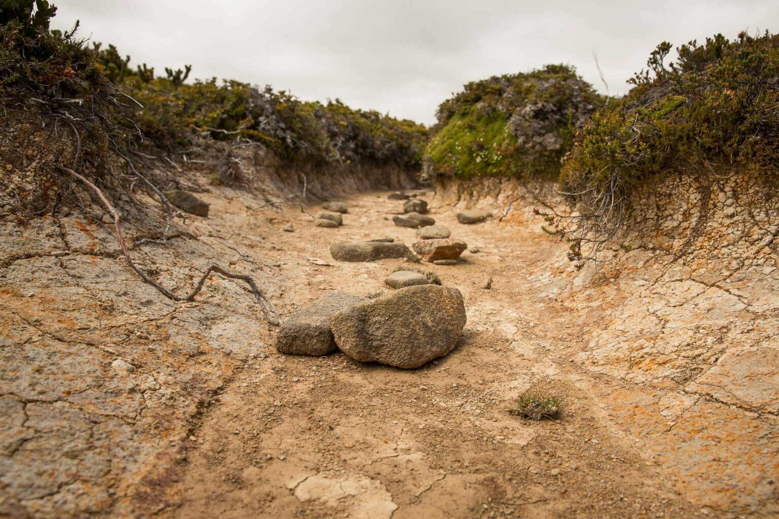 What to Do When Your Dam Runs Dry in Australia