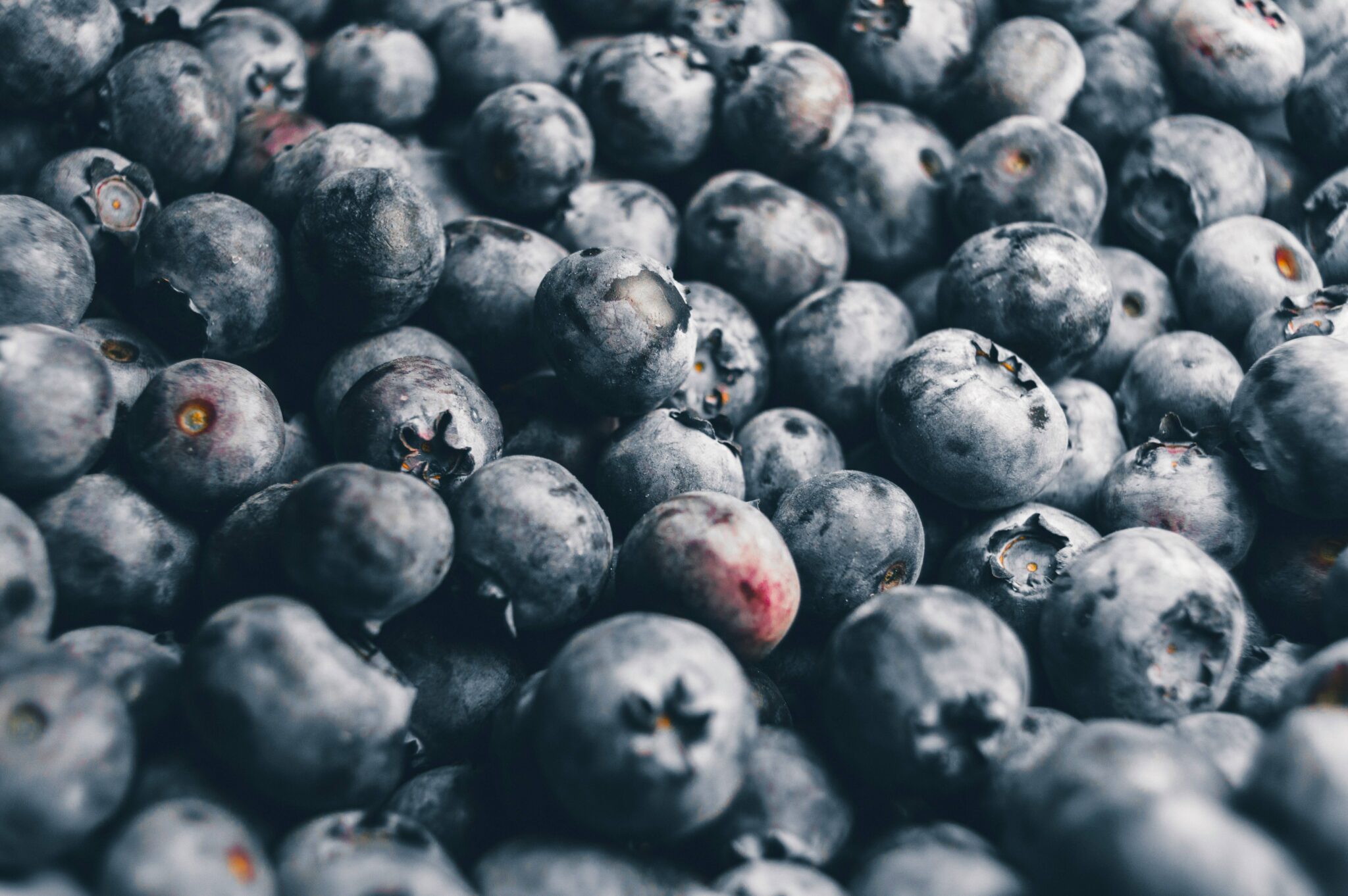 Berry Farming Comparison: Which Berry Is Most Profitable?