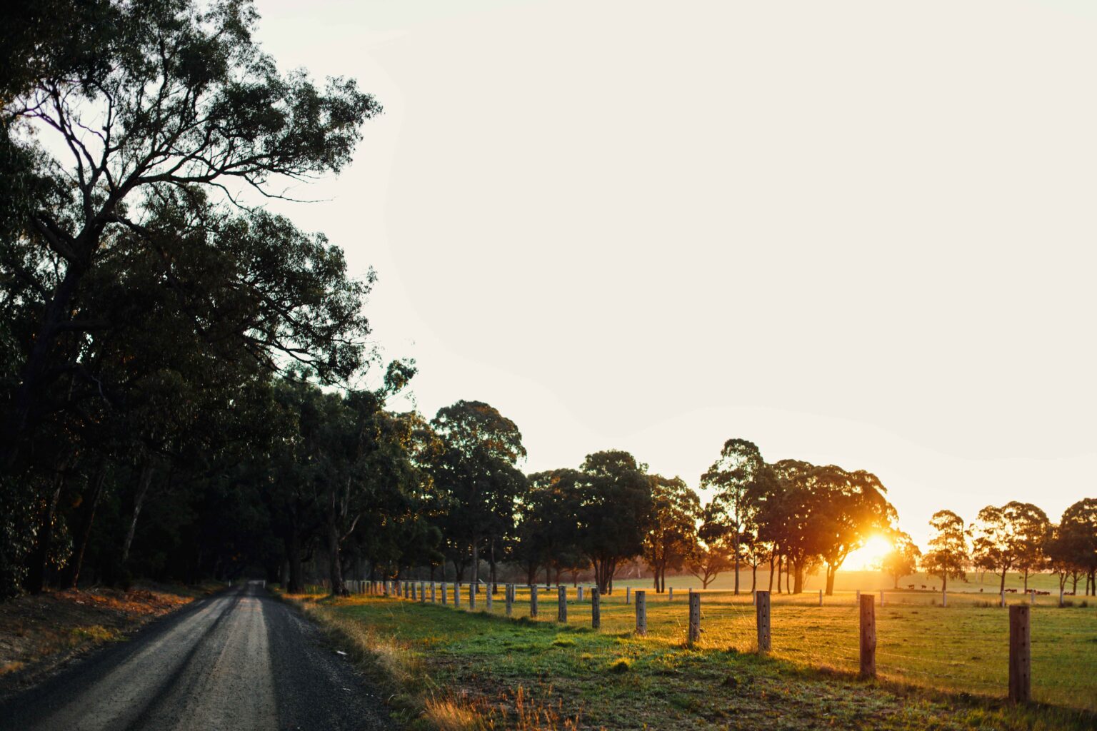 Victoria (VIC) Farm & Agricultural Land Value Trends 2026