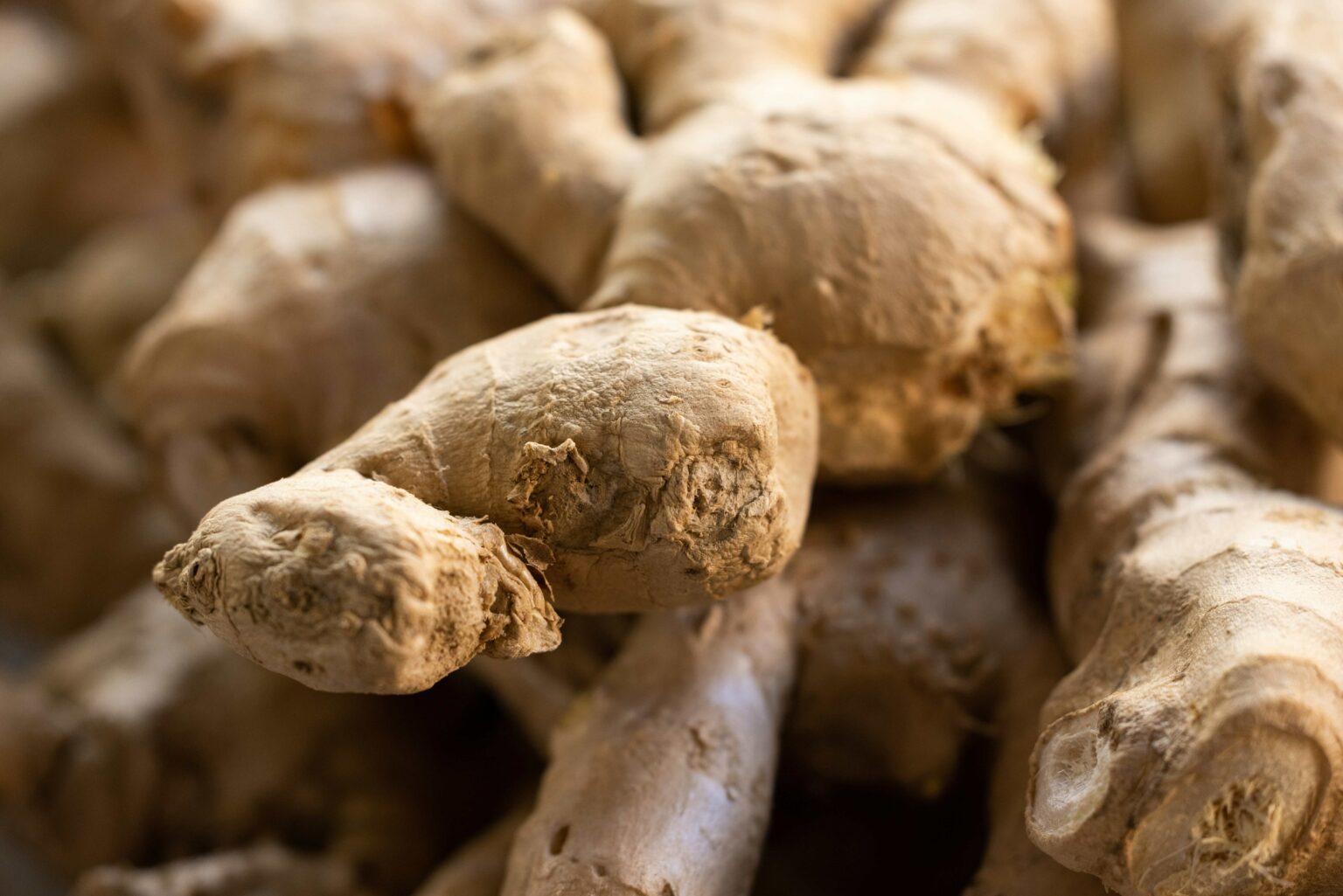 How to Grow Ginger and Turmeric at Home in Australia | Grainshed