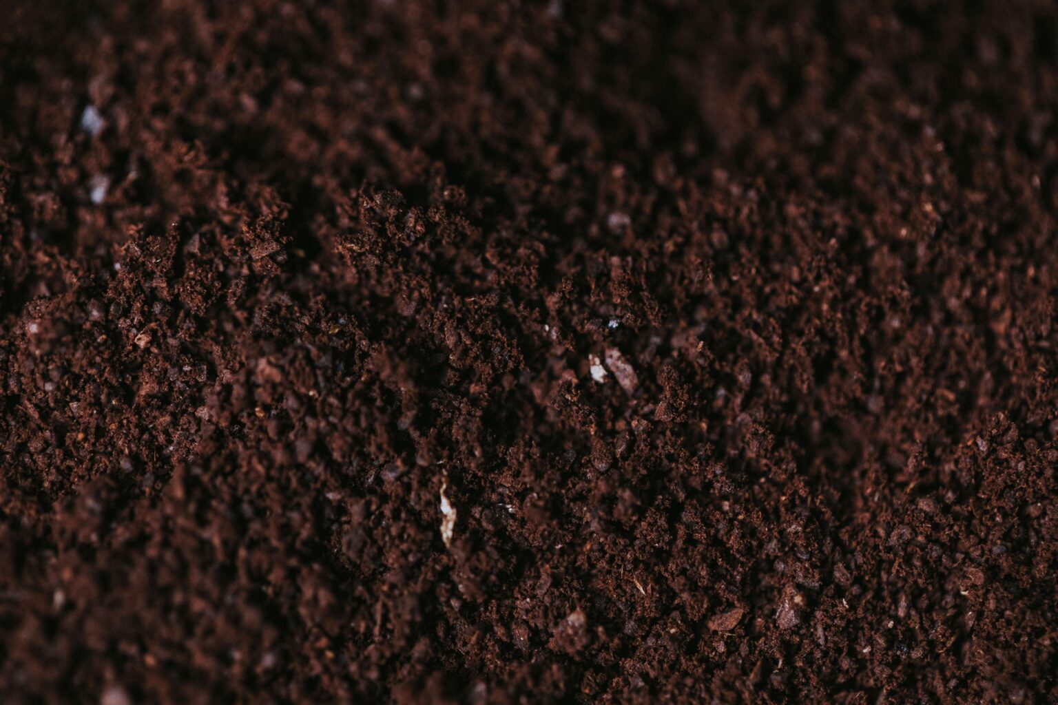 How to Read a Soil Test Before Rural Land Purchase | Grainshed