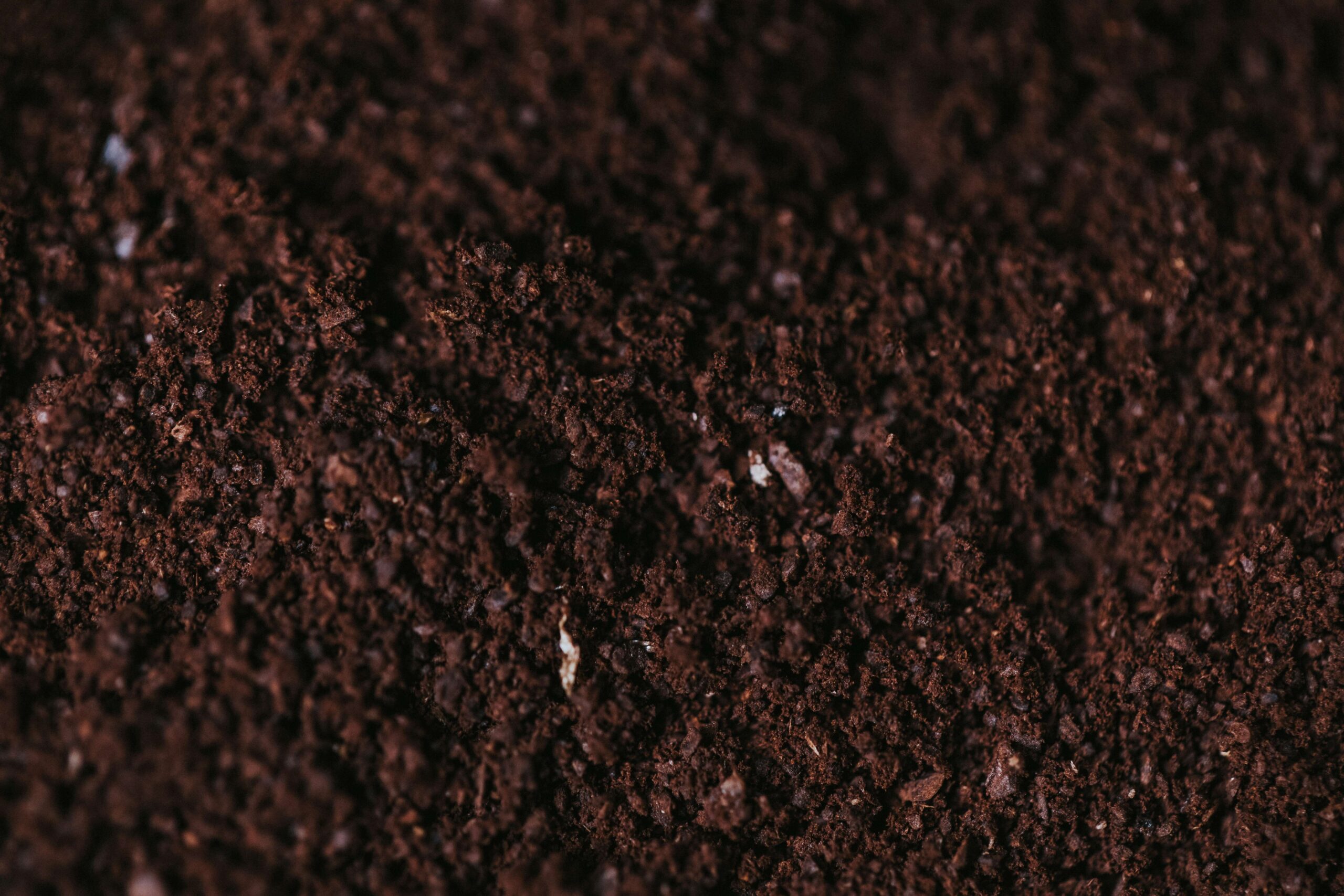 How to Read a Soil Test Before Rural Land Purchase | Grainshed